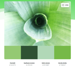 Modelos de paleta de cores verde - 10 combinações inspiradoras